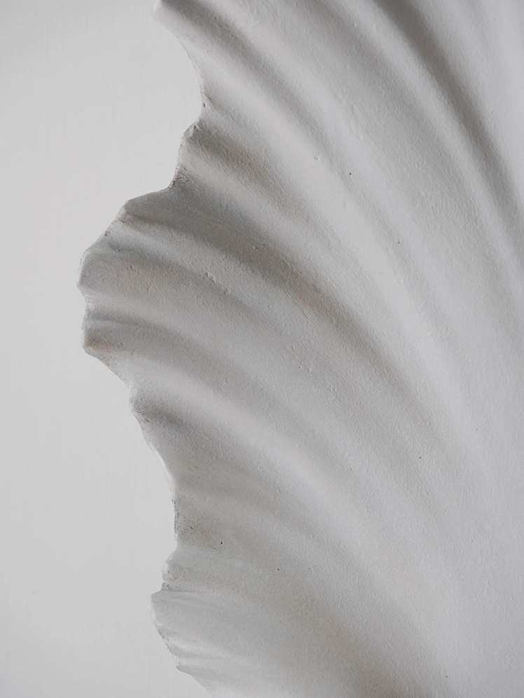 Porta Romana — Scallop Shell Wall Light — Wall lamps | Artilleriet